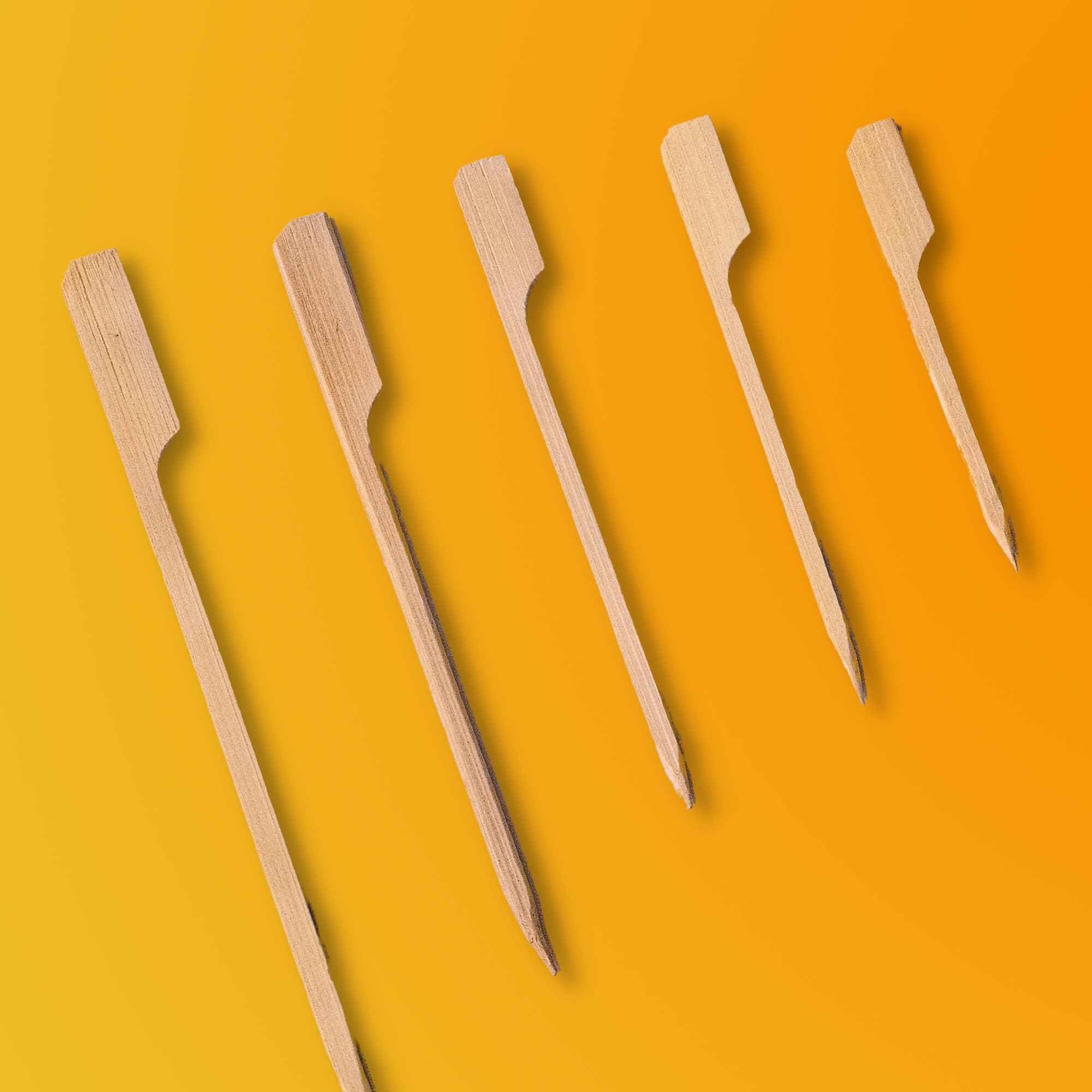 Bamboo Gun Skewers – Biopapro